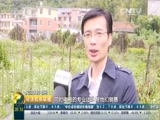 [经济信息联播]关注农村电商:电商网上接单 农民接电商订单