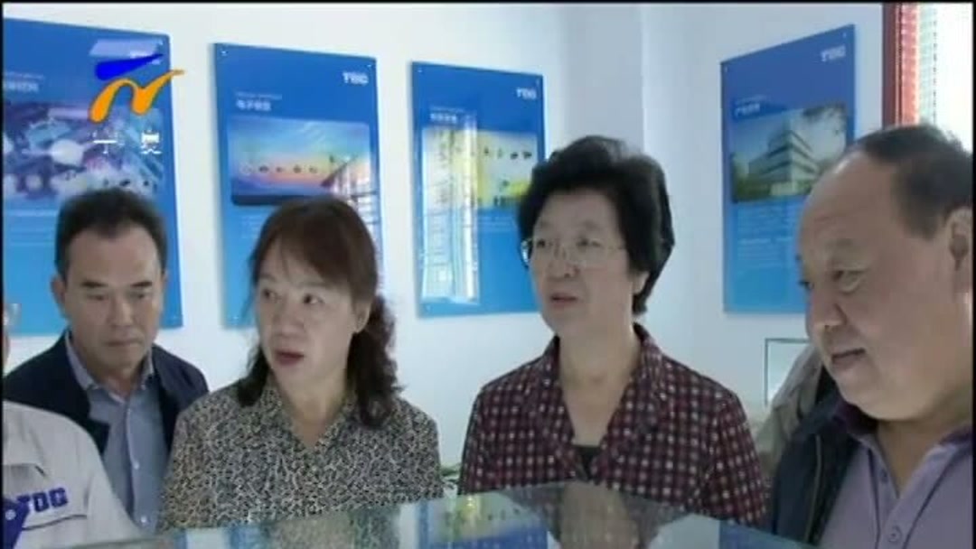 [宁夏新闻]自治区人大常委会对《人大代表建议 批评和意见办理工作...