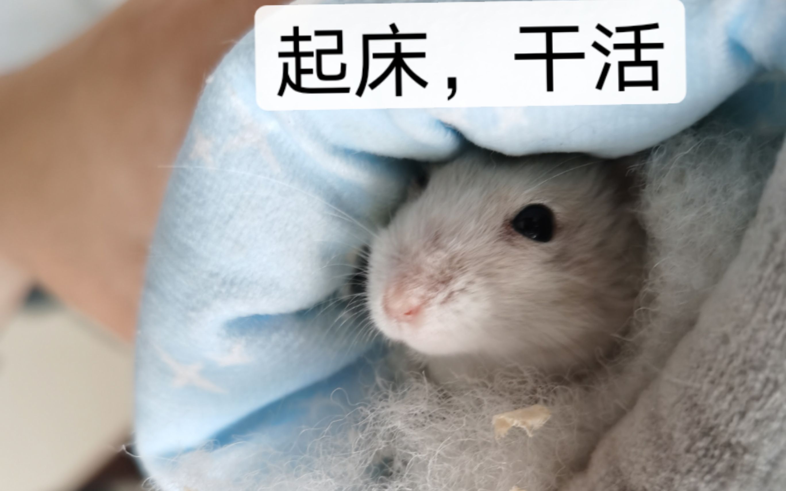 【微专题】构建几何图形解决向量最值问题