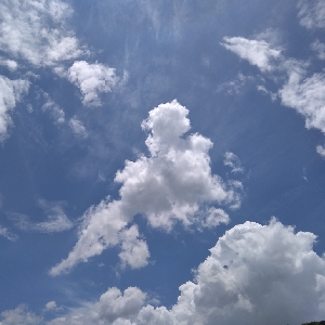 爱玩速猪的雪浪子 