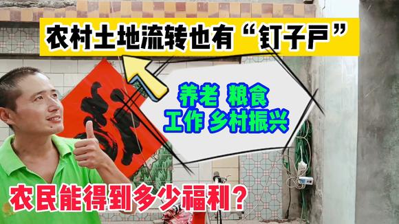 农村土地流转大好事,有3种农民不愿意,土地流转也有“钉子户?