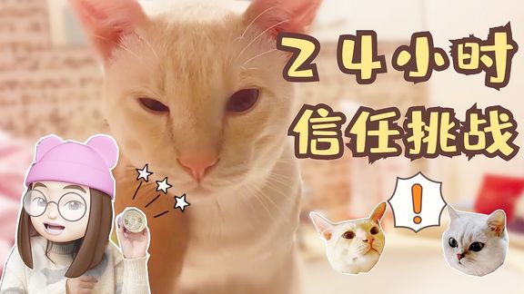 24小时猫咪信任度大挑战!和铲屎官搞好关系的宝宝才有罐罐吃