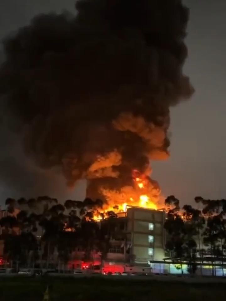 灭火应急疏散预案;消防安全告知书;消防安全承诺书;消防安全管理制度;...