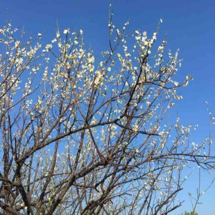 盼盼的精彩笔记 