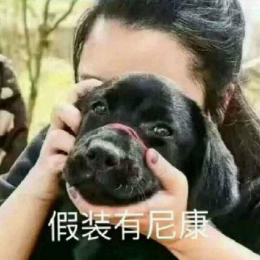 雲老头 