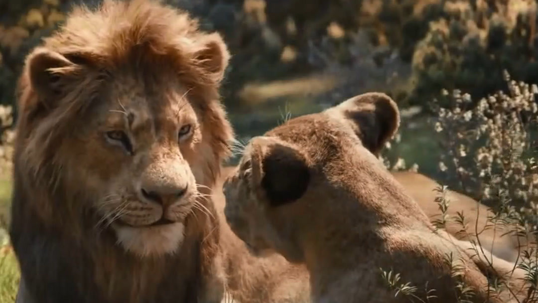 《狮子王》动画经典,真实版动物世界霸气,值得去看的狮子王