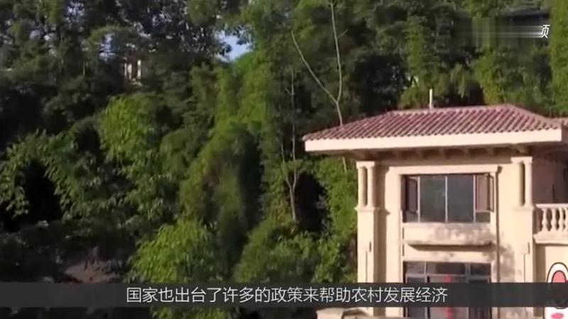 合村并镇已经板上钉钉了,农民不要慌,看完心中有谱了!