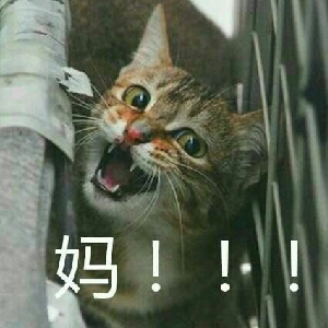 怪兽小岛 