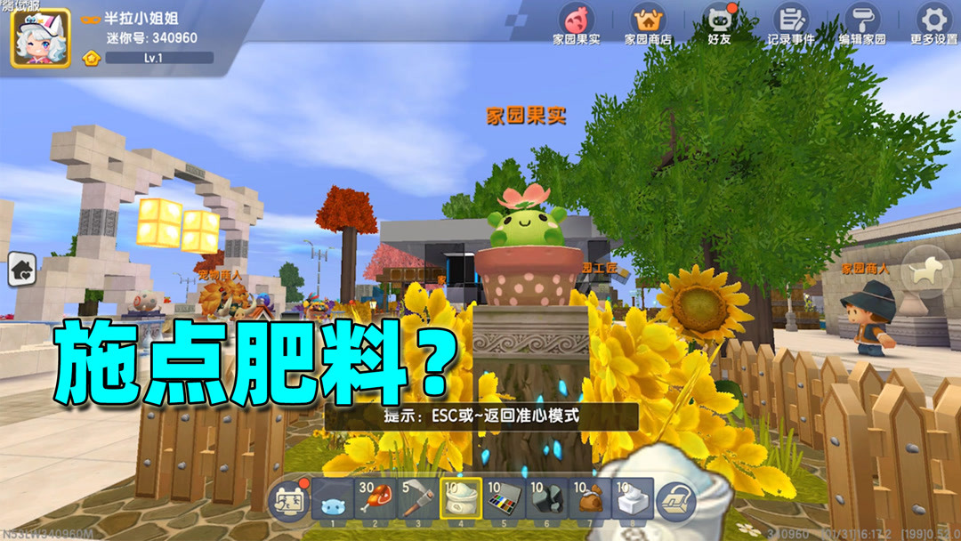 迷你世界测试服：家园大更新，变成真正的房子，家园果实种在里面