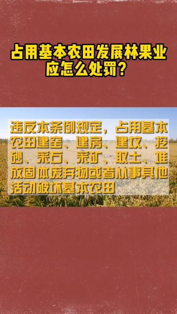 占用基本农田发展林果业,应如何处罚?#占用基本农田保护区