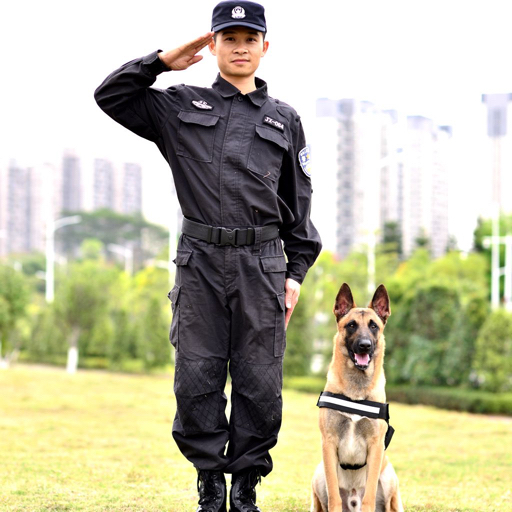 狗狗教官蓝sir 