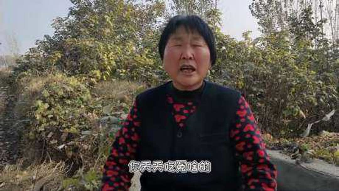 合作医疗费用越交越多,为什么老人要说借钱都要交?来听听原因