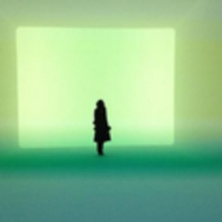 用户孙国起与花天农村养蜂哥