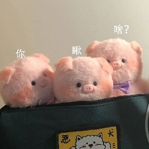 小小家的小小吖 