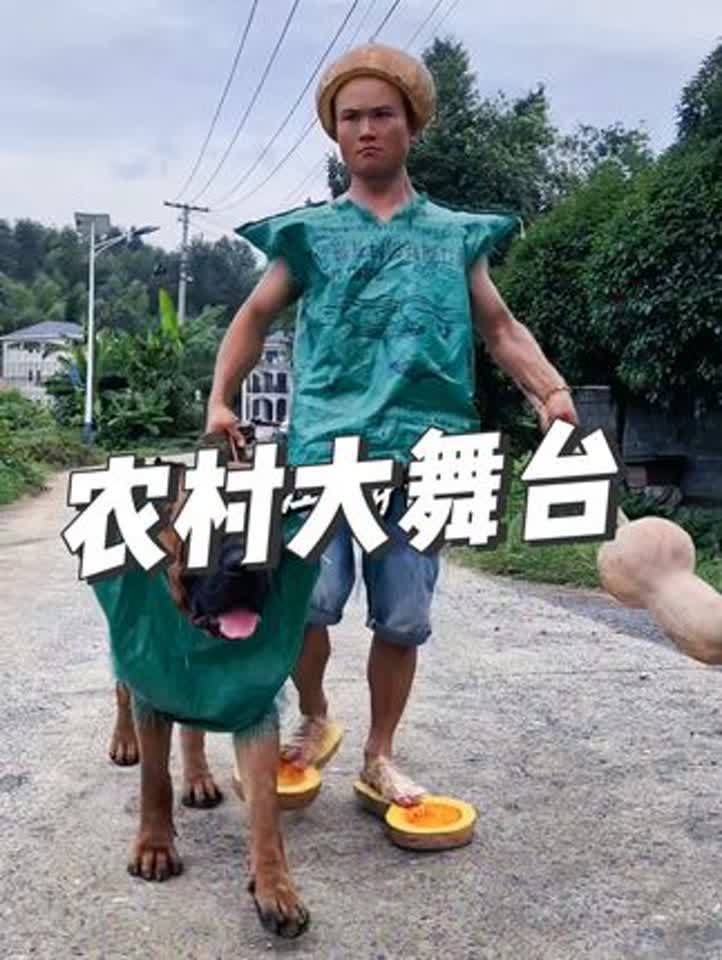 #适合家养的大型犬品种推荐 #萌宠出道计划 #萌宠 -养狗界最靓的仔
