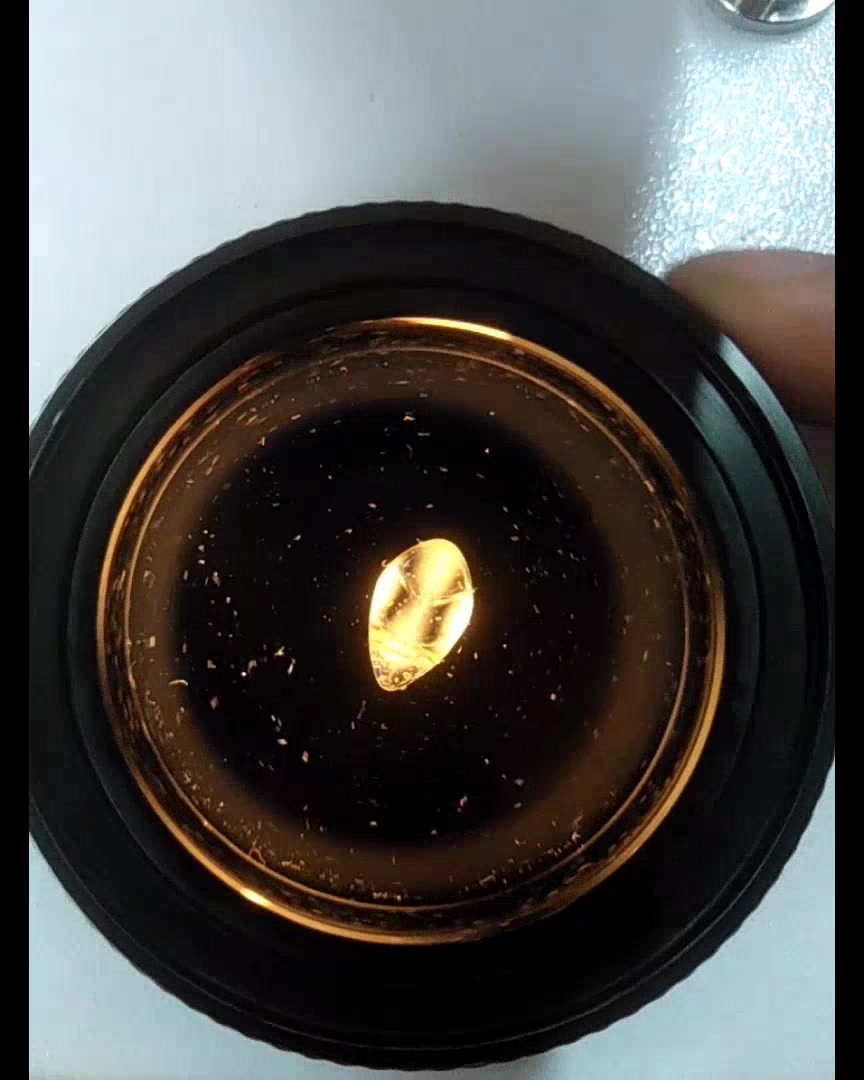 宝石鉴定——玻璃在偏光镜下的异常消光