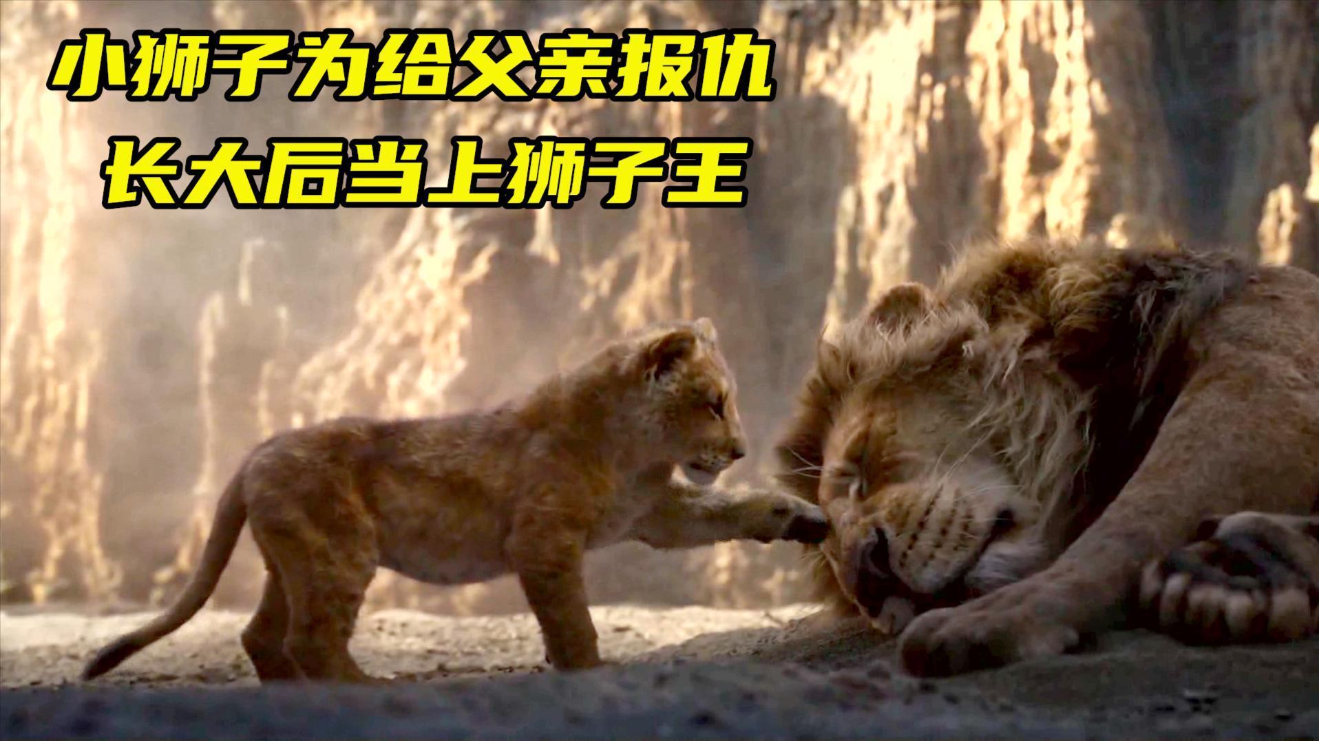 .狮子为了给父亲报仇,长大后成为了