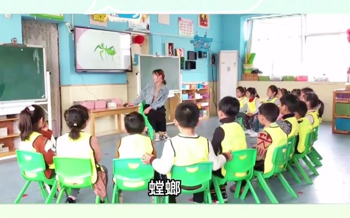 幼儿园公开课教案|中班数学《寻找七星瓢虫》小朋友学会用“先目测一...