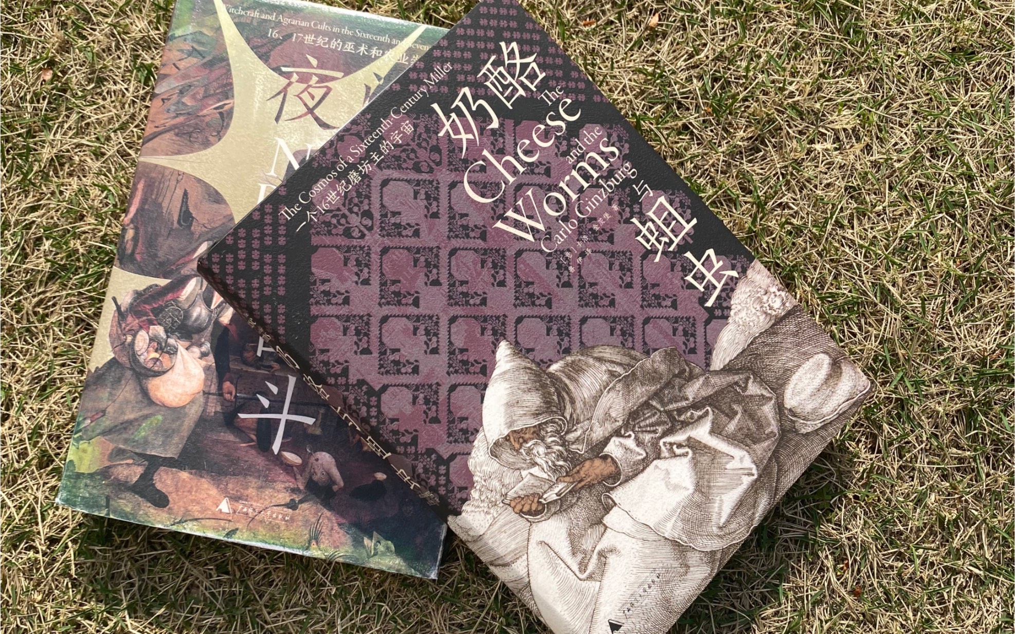 ...翻书,奶酪与蛆虫 夜间的战斗。(草坪有小朋友尖叫,注意保护耳朵。)