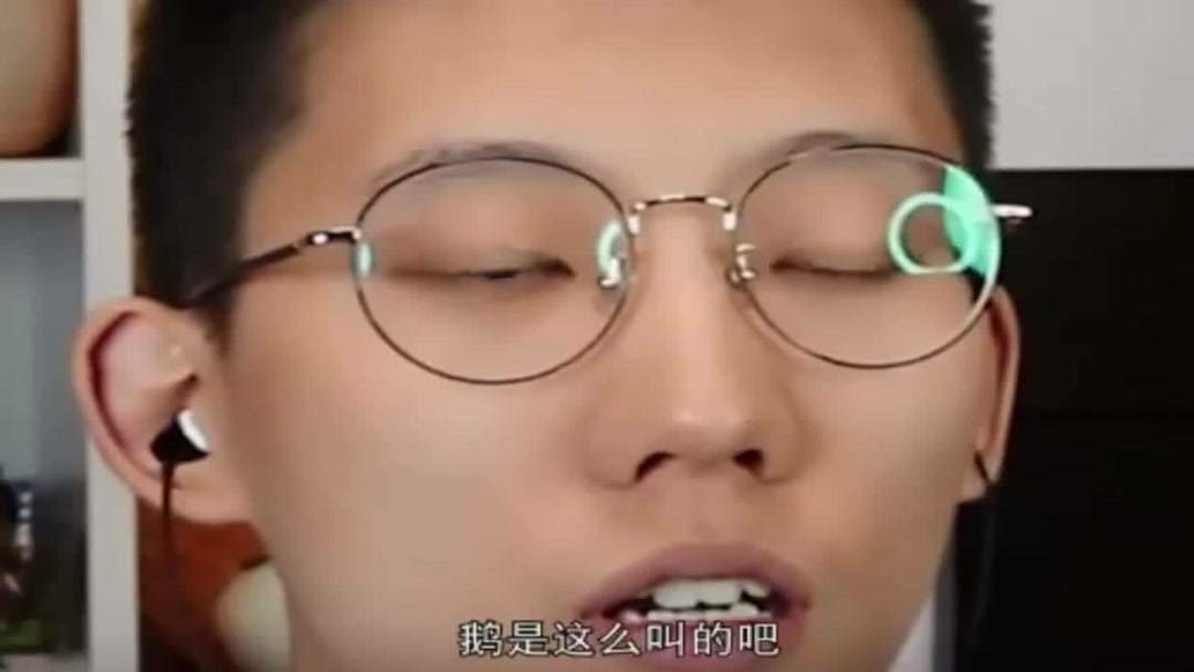 第一章鲤鱼解说、大白鹅模拟器,变成一只鹅是什么感受