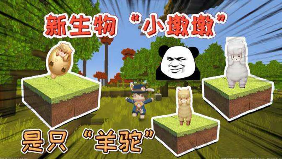 迷你世界:生存冒险新生物羊驼“小墩墩”有两种形态很可爱特别萌