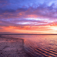 注定难过的人生 