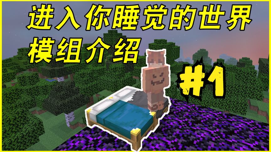 【我的世界模组】睡觉做梦进入2个维度!