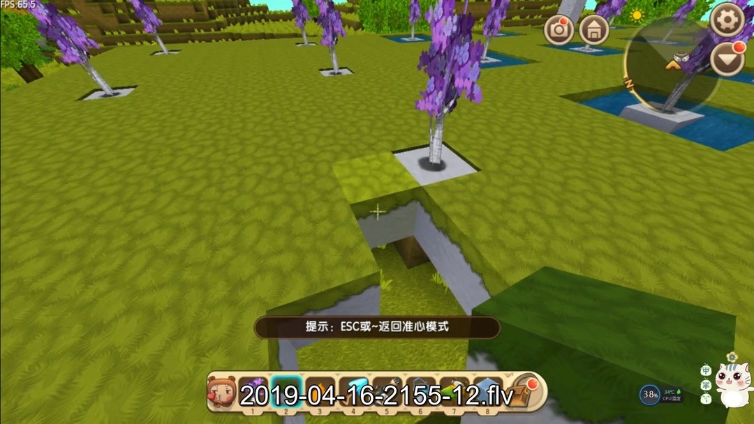 迷你世界创造:继续扩建珍木树林,爱你们哦,坚辛劳动中