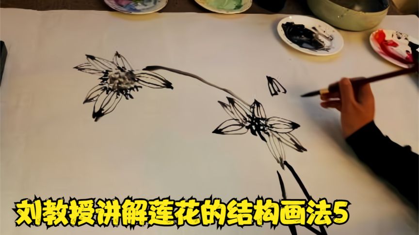 刘教授讲解莲花的结构画法5