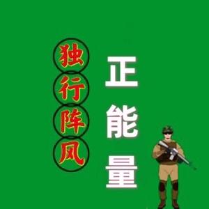 独行阵风 