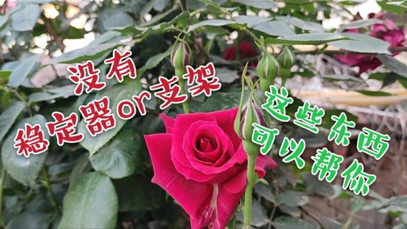 还没入手稳定器or支架?身边这些东西可以帮你拍出稳定画面