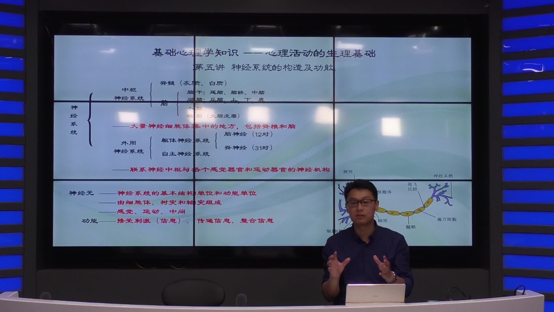 【云城直播】第五讲:神经系统的构建和功能