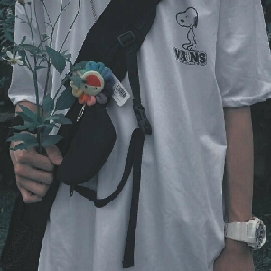超纯的小白君 