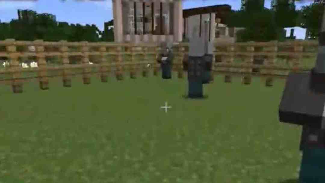 我的世界小动画教程-村民4