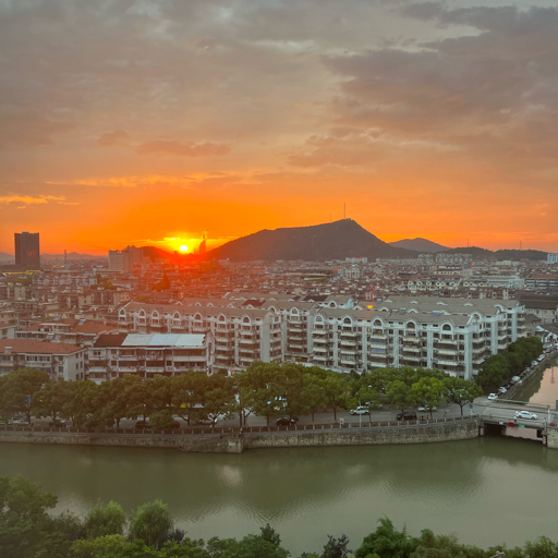 没有目标的小羊 