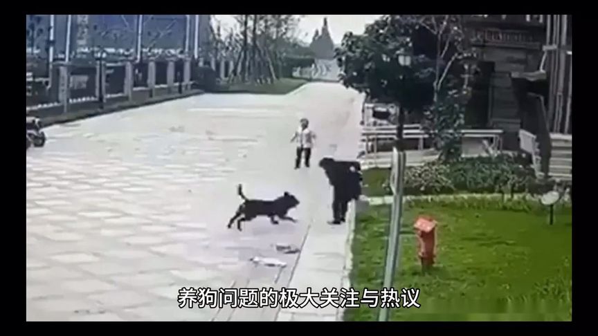 两岁女孩被狗咬事件是狗太恶 还是人太善