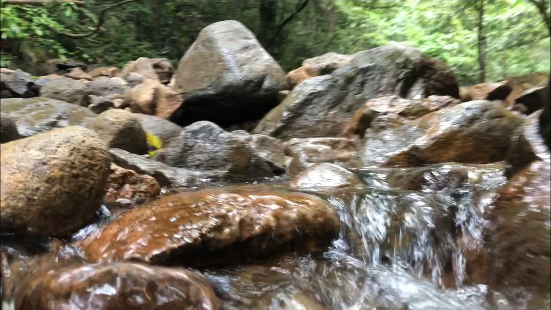 被带去诸暨五泄风景区玩耍啦～