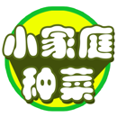 小家庭种菜 