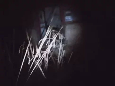 猛子探险实录之小孩儿(2019.2.2)花絮3