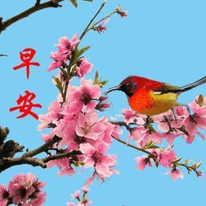 笑揽风光安永爱 