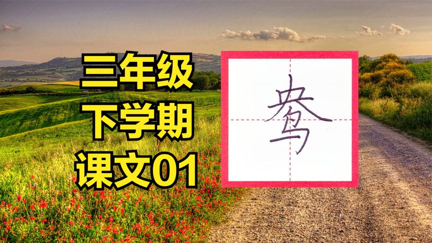 【鸯】为什么上方撇要改为斜撇?鸟的特点?几种恐怖的错误写法?