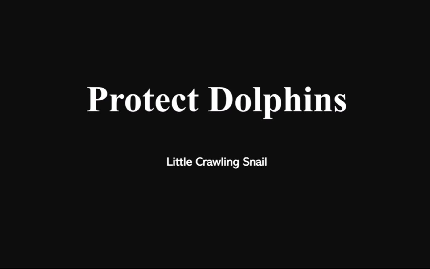 Protect Dolphin 保护海豚小动画