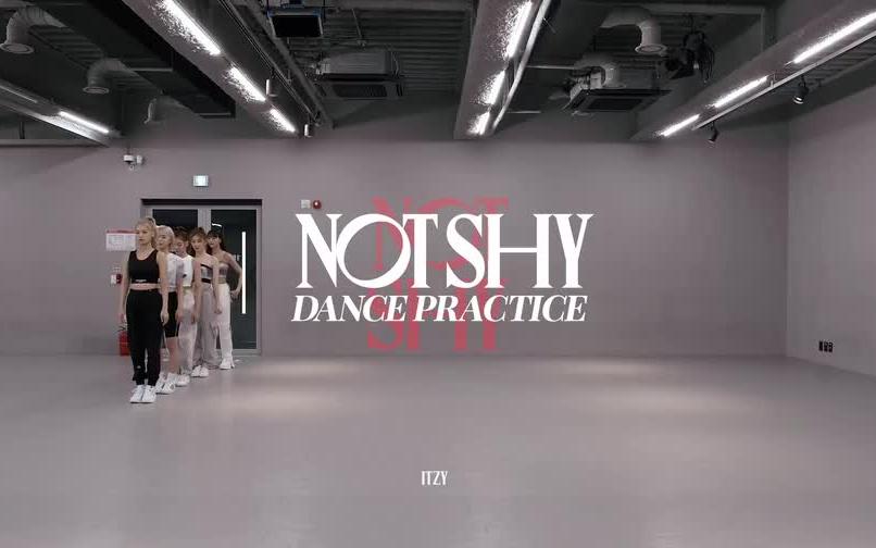 [4K60帧] ITZY 《Not Shy》 丝滑舞蹈练习室+舞蹈版MV~这个夏天给你...
