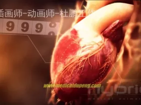 很强大的3D的心脏和血管动画