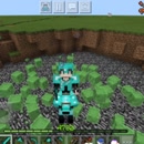 我的世界小飞～ 