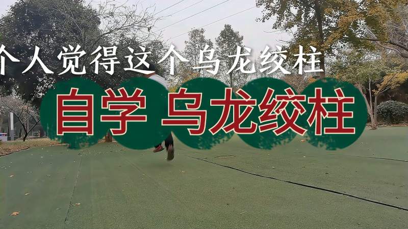 #武术基本动作乌龙绞柱#