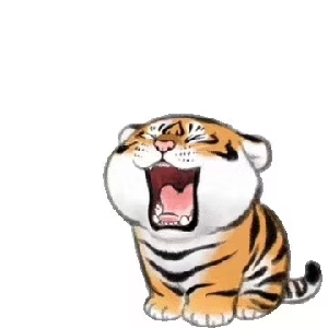 君泽君 