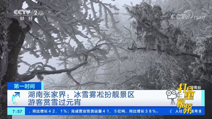 湖南张家界:冰雪雾凇扮靓景区,宛若一幅精致的水墨画|第一时间