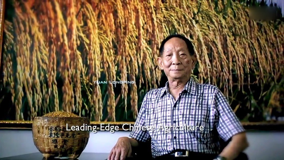 中国国家形象宣传片-人物篇(袁隆平、杨利伟、姚明、郎平、杨丽萍、...