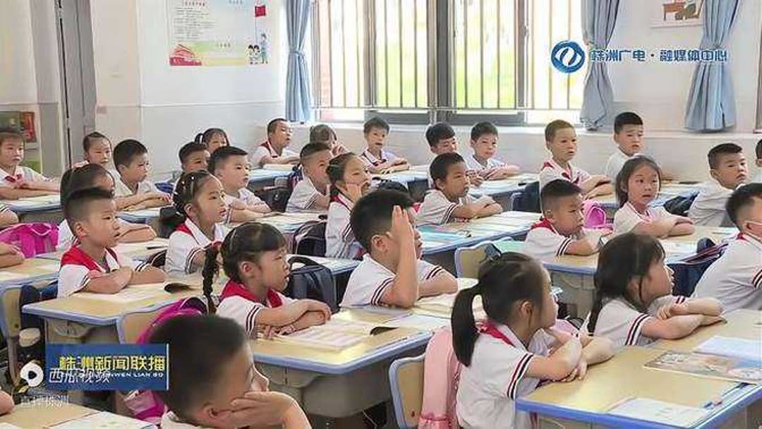 “护苗行动”守护孩子们的“盘中餐”